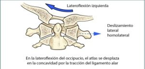 Vol. 7 Núm. 4. Octubre 2023. Cervicalgias y su relación con trastornos ...